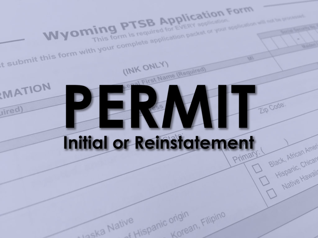 Permits (Initial or Reinstatement) - Wyoming Professional Teaching ...
